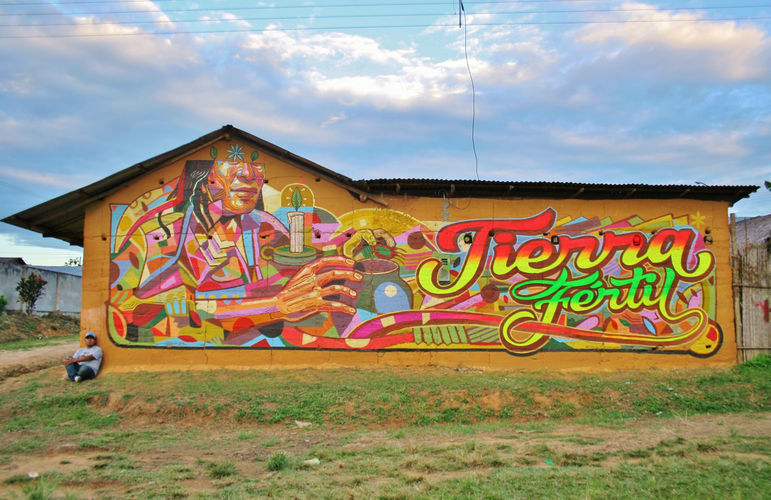 Artwork by El Decertor, Elliot Tupac in Lamas | Fatcap
