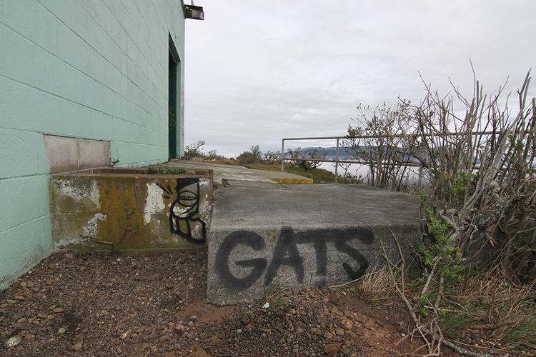 gats : Artist from Oakland - Fatcap